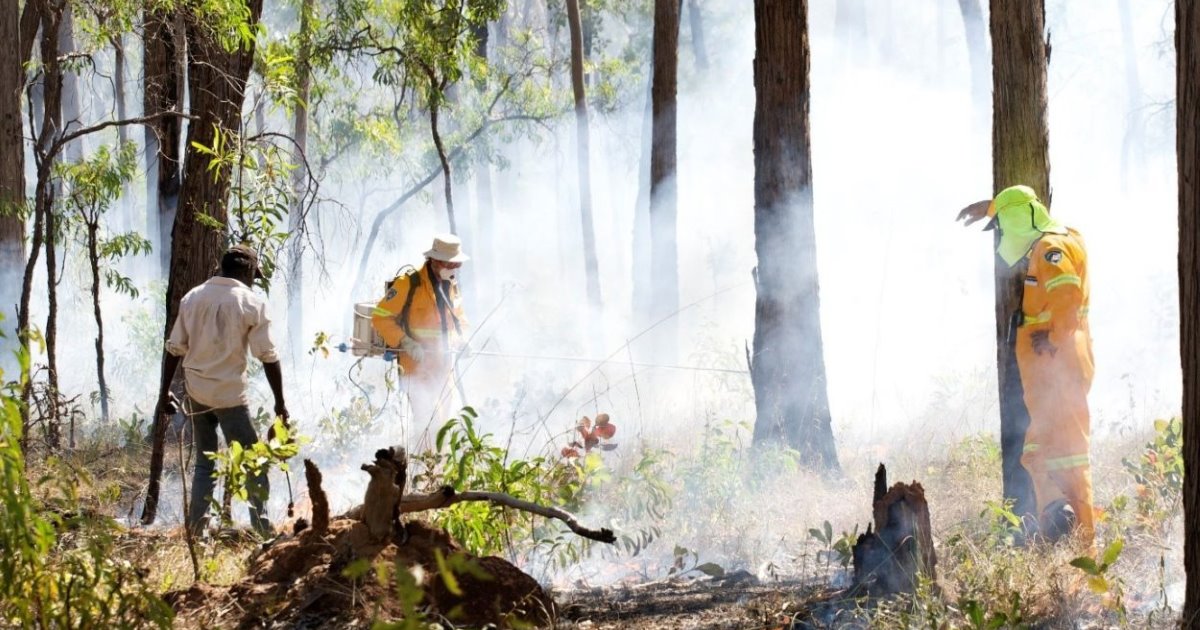 The Indigenous Fire Management Program Offsetting Carbon - Bright-r